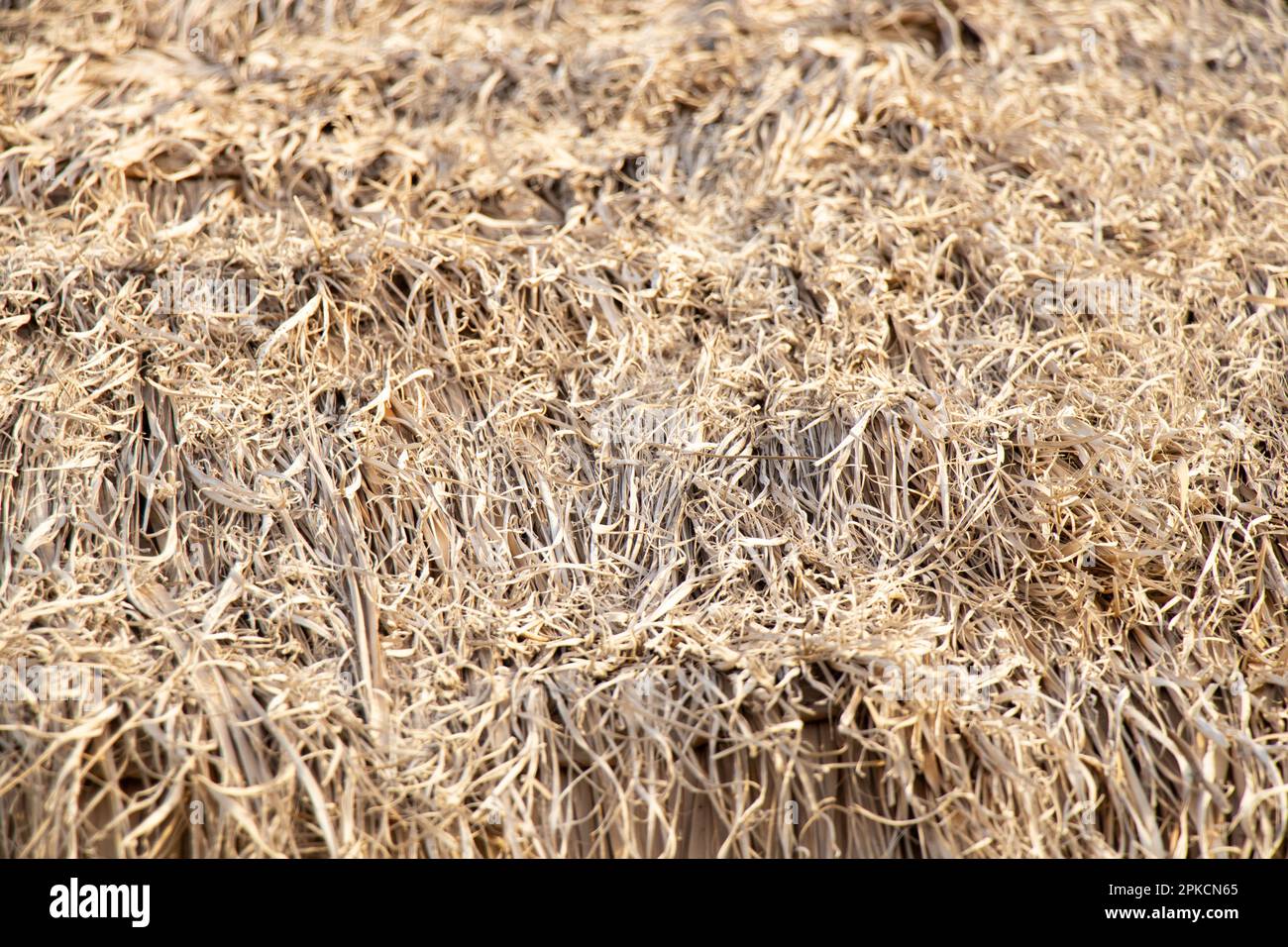 Wheat straw truck hi-res stock photography and images - Alamy