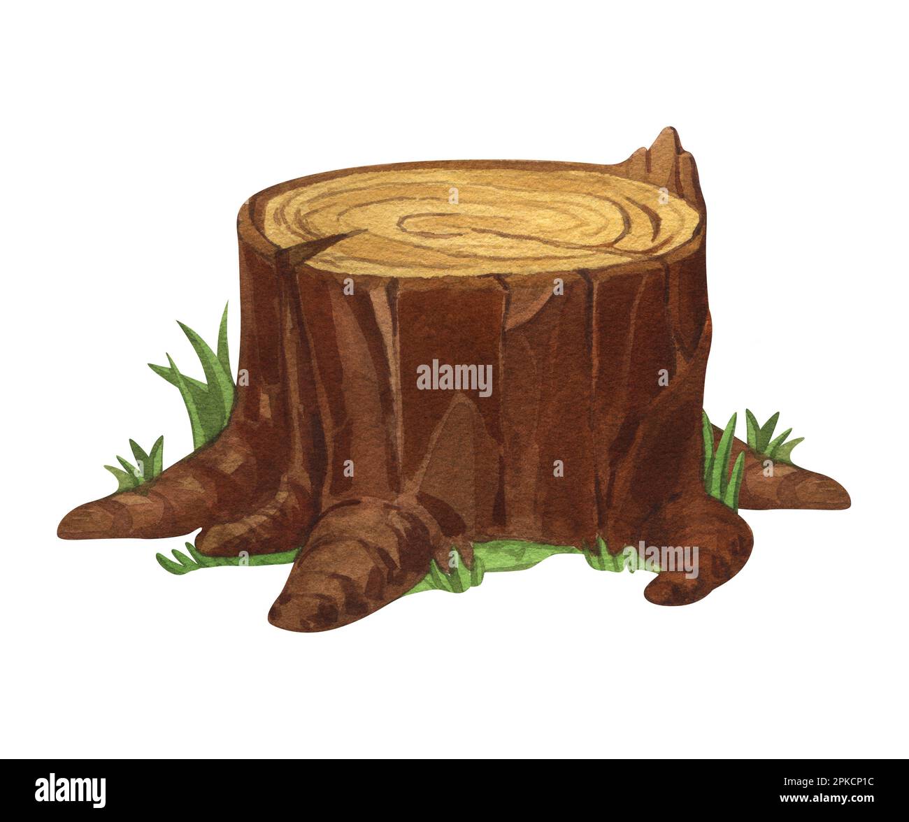 Watercolor Tree Trunk