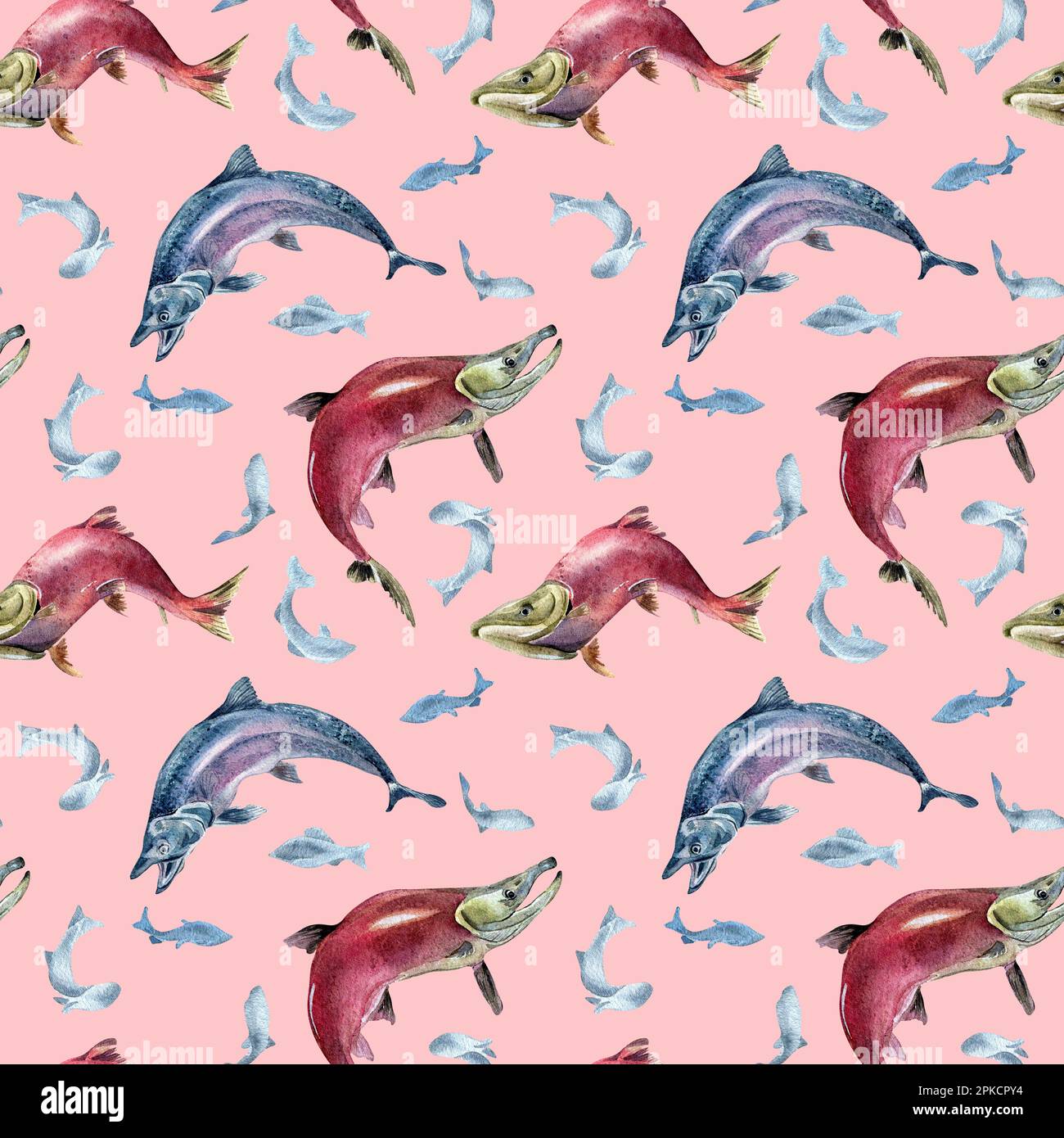 Seamless pattern of salmon, coho, chum watercolor illustration isolated ...