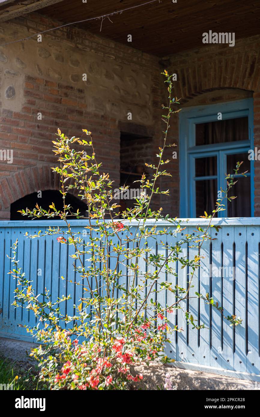Blue wooden decoration of traditional georgian farm house Stock Photo ...