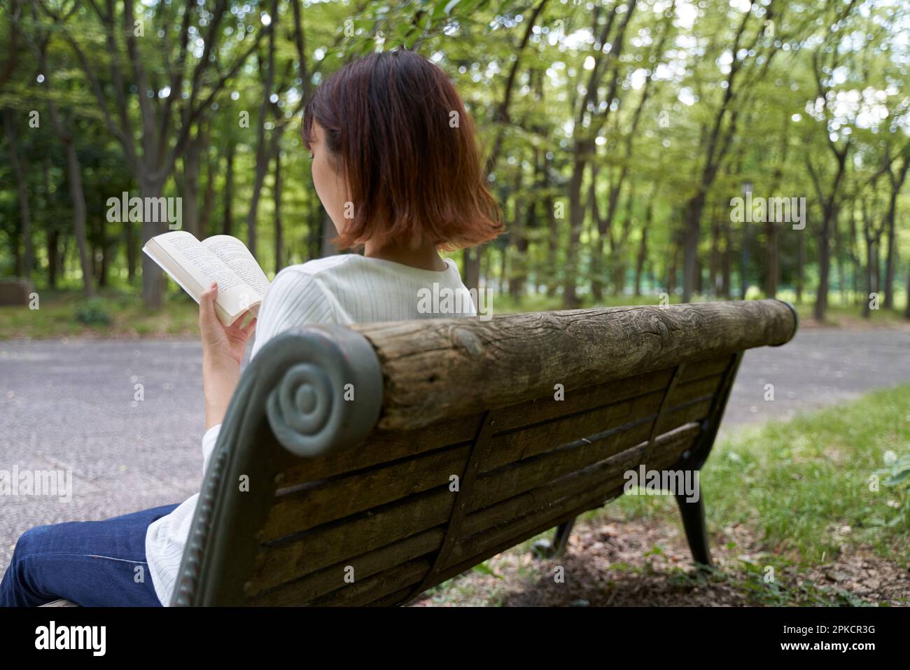 Woman reading book wooden bench hi-res stock photography and images - Alamy