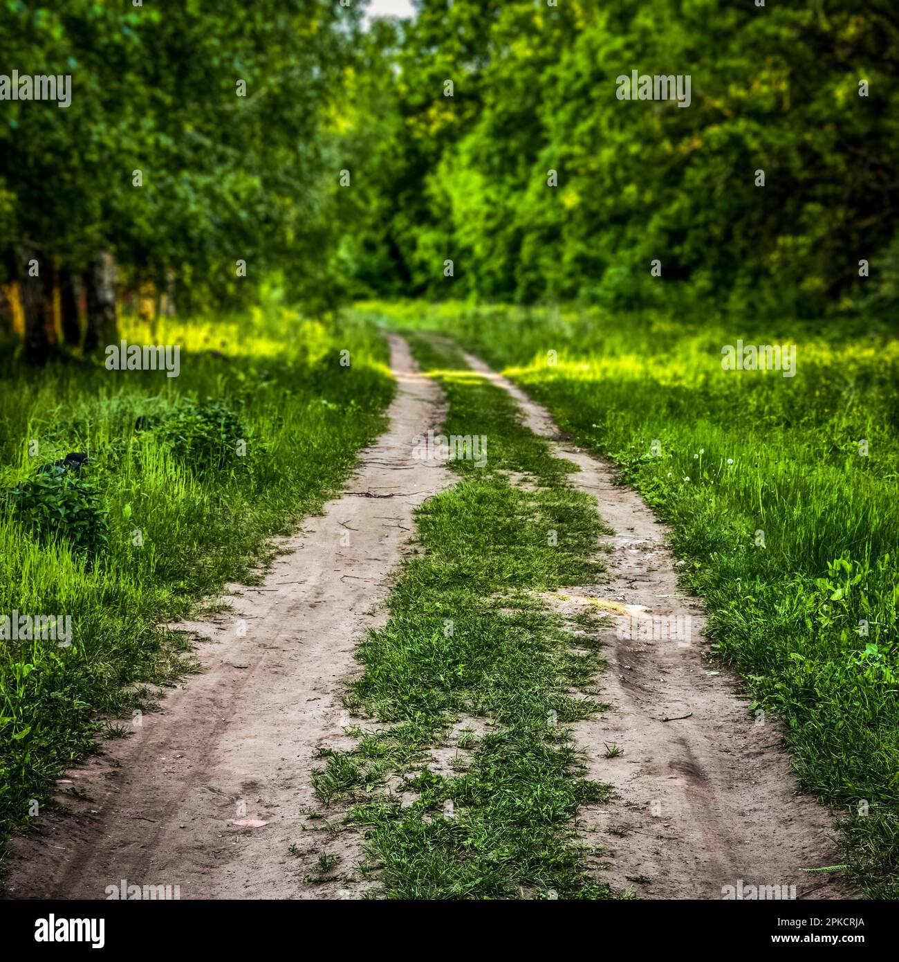 Rural winding dirt track of a road closeup Stock Photo - Alamy