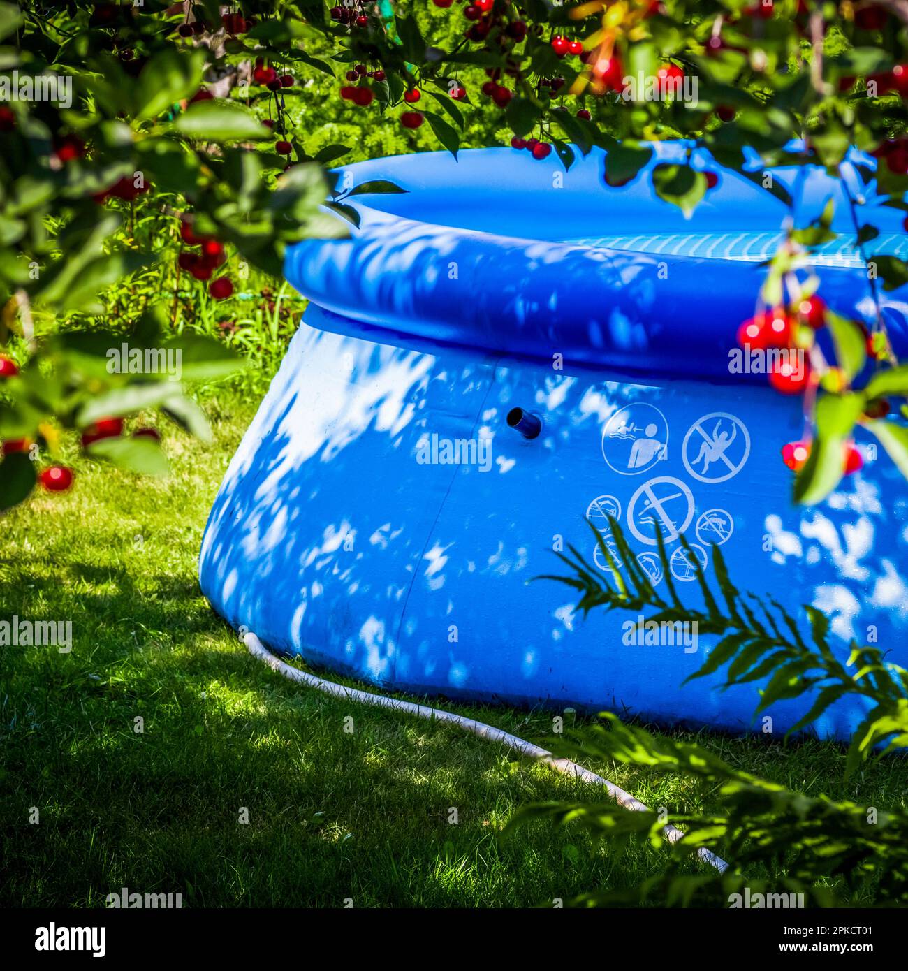 Inflatable blue pool in the backyard of a private house Stock Photo - Alamy
