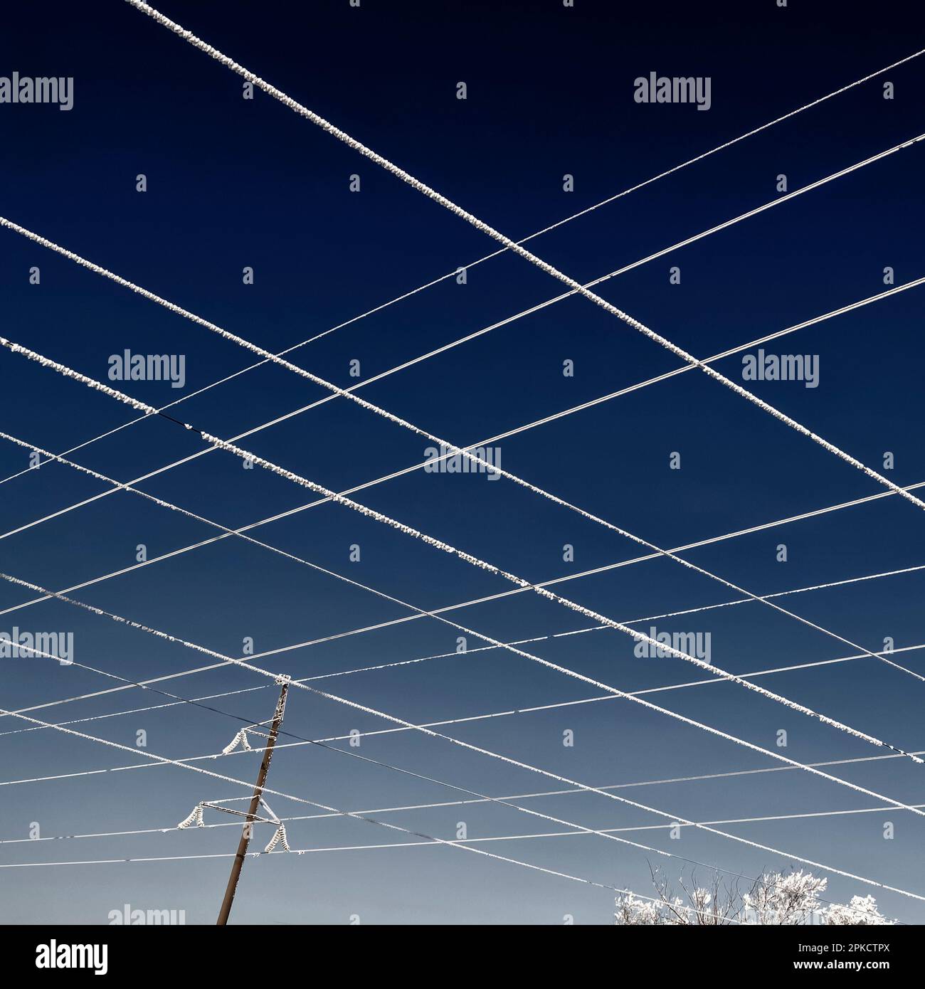 High-voltage wires and poles are covered with frost on a frosty winter ...