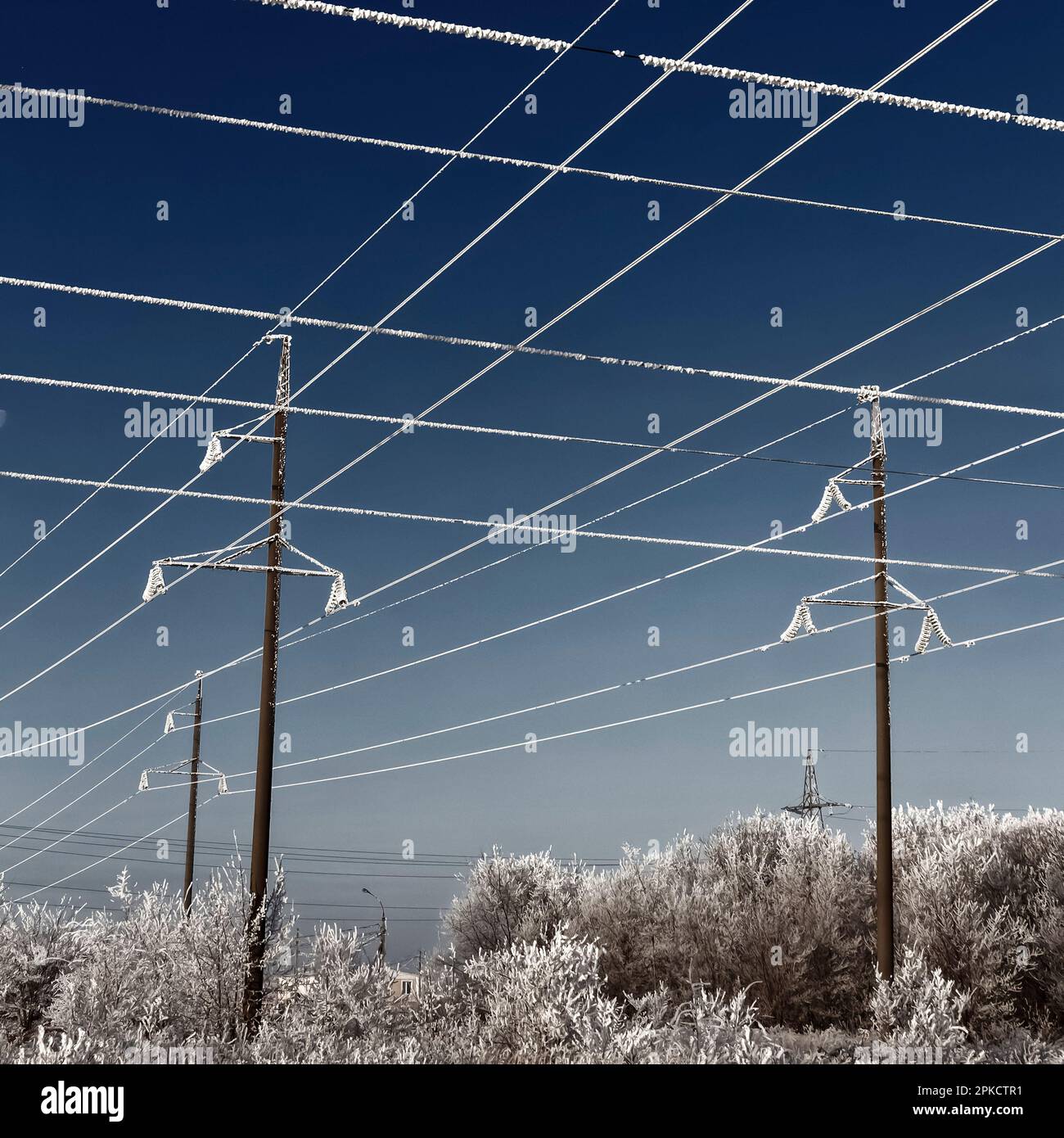 High-voltage wires and poles are covered with frost on a frosty winter ...