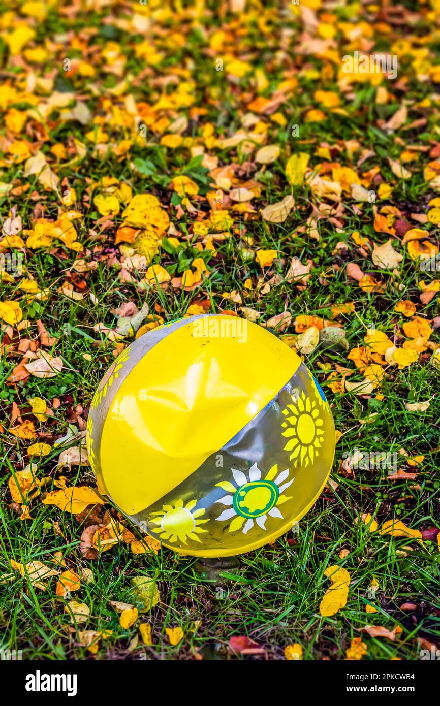 A yellow deflated abandoned children's ball on the lawn in the backyard ...