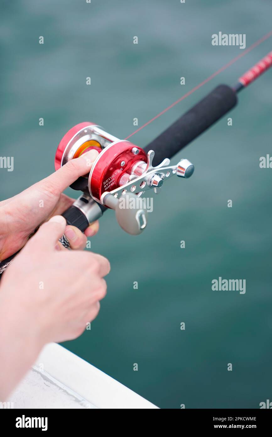 Hand with a Fishing Rod Stock Photo - Alamy