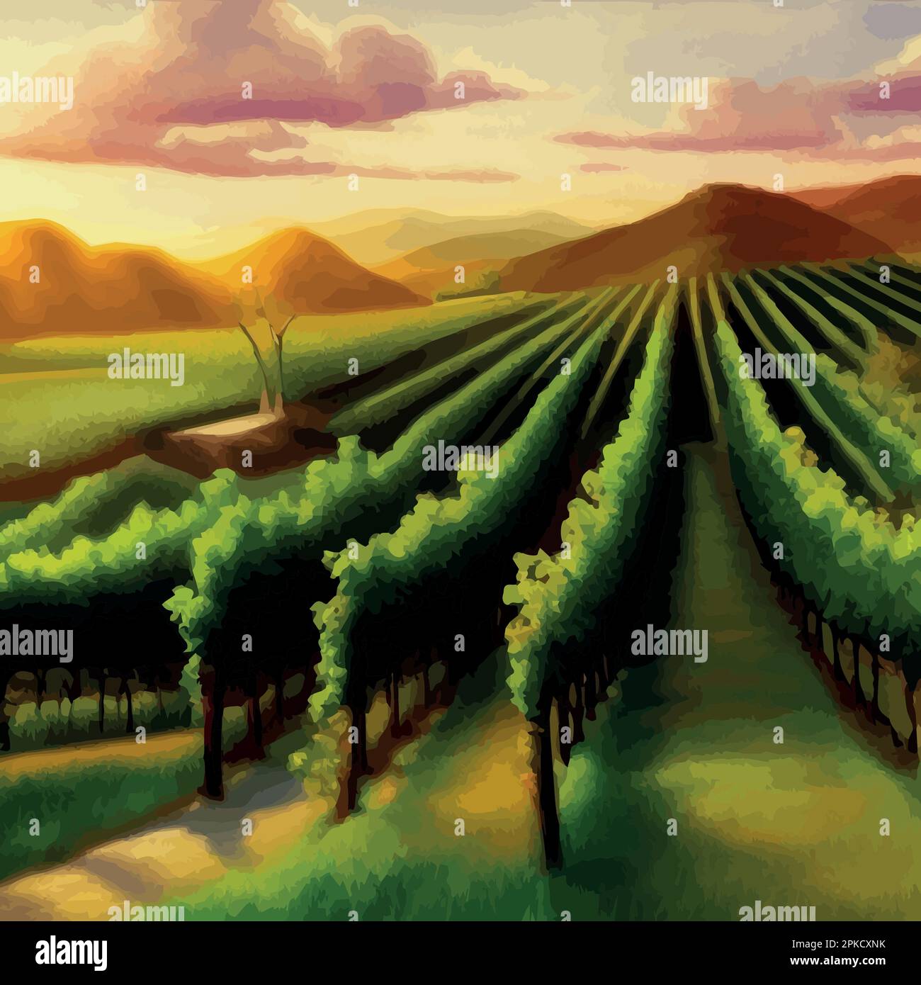 Vines rows panorama Stock Vector Images - Alamy