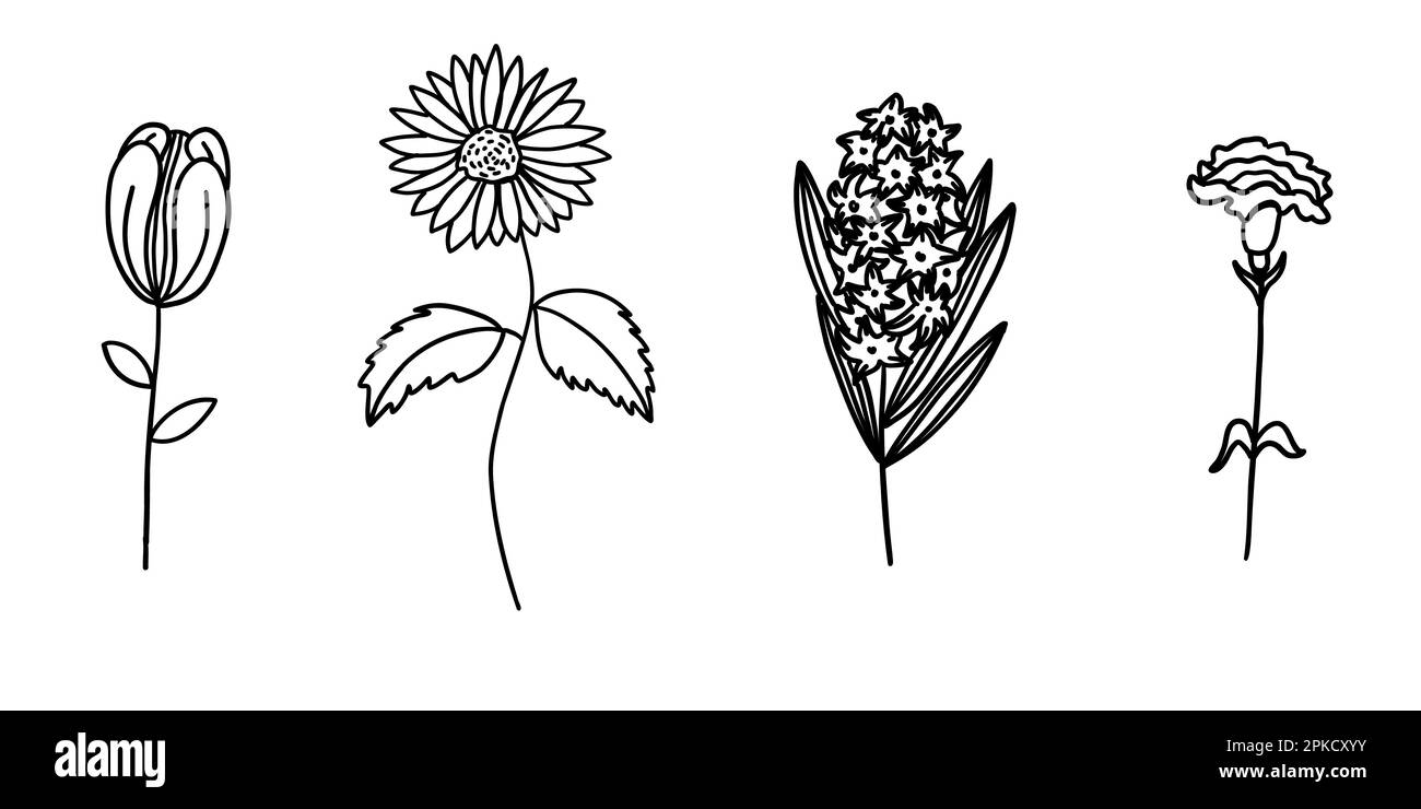 Flowers collection in outline doodle flat style. Set of simple floral ...