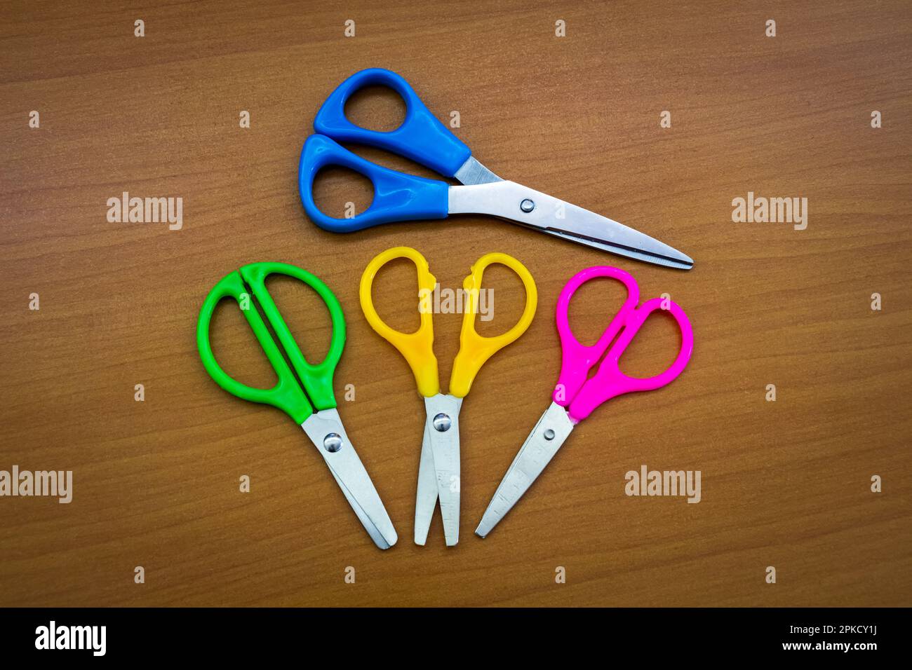 Multi-colored stationery scissors on the surface of the office table ...
