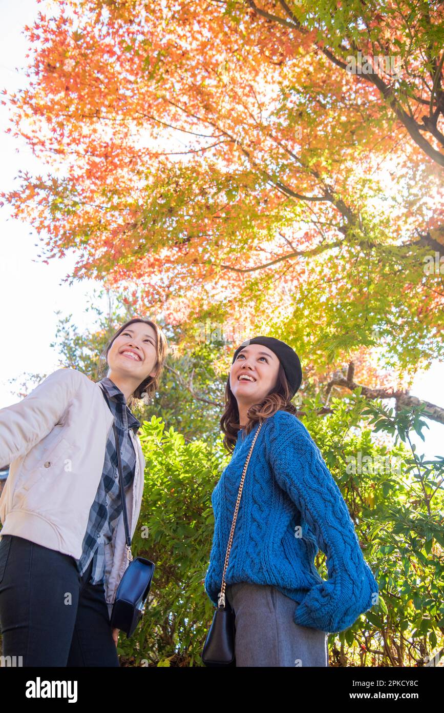 Two women strolling in a sightseeing spot while looking at autumn ...