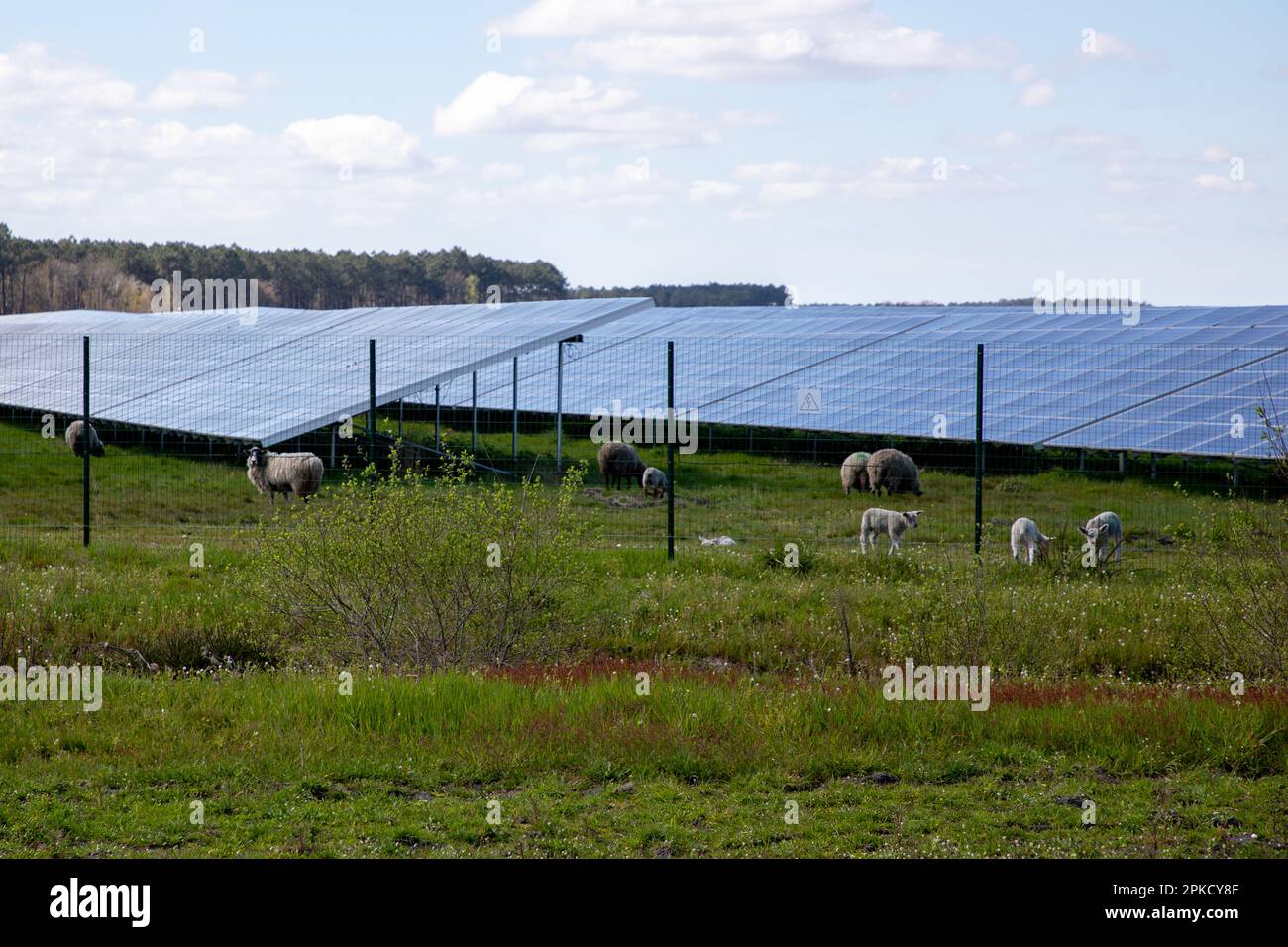 Solar panels set in nature hi-res stock photography and images - Alamy