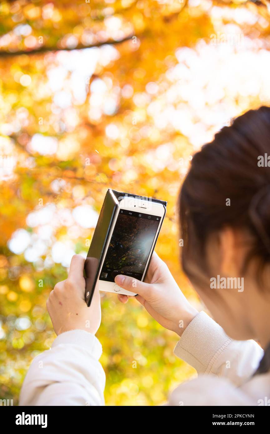 A woman taking pictures of autumn leaves Stock Photo - Alamy