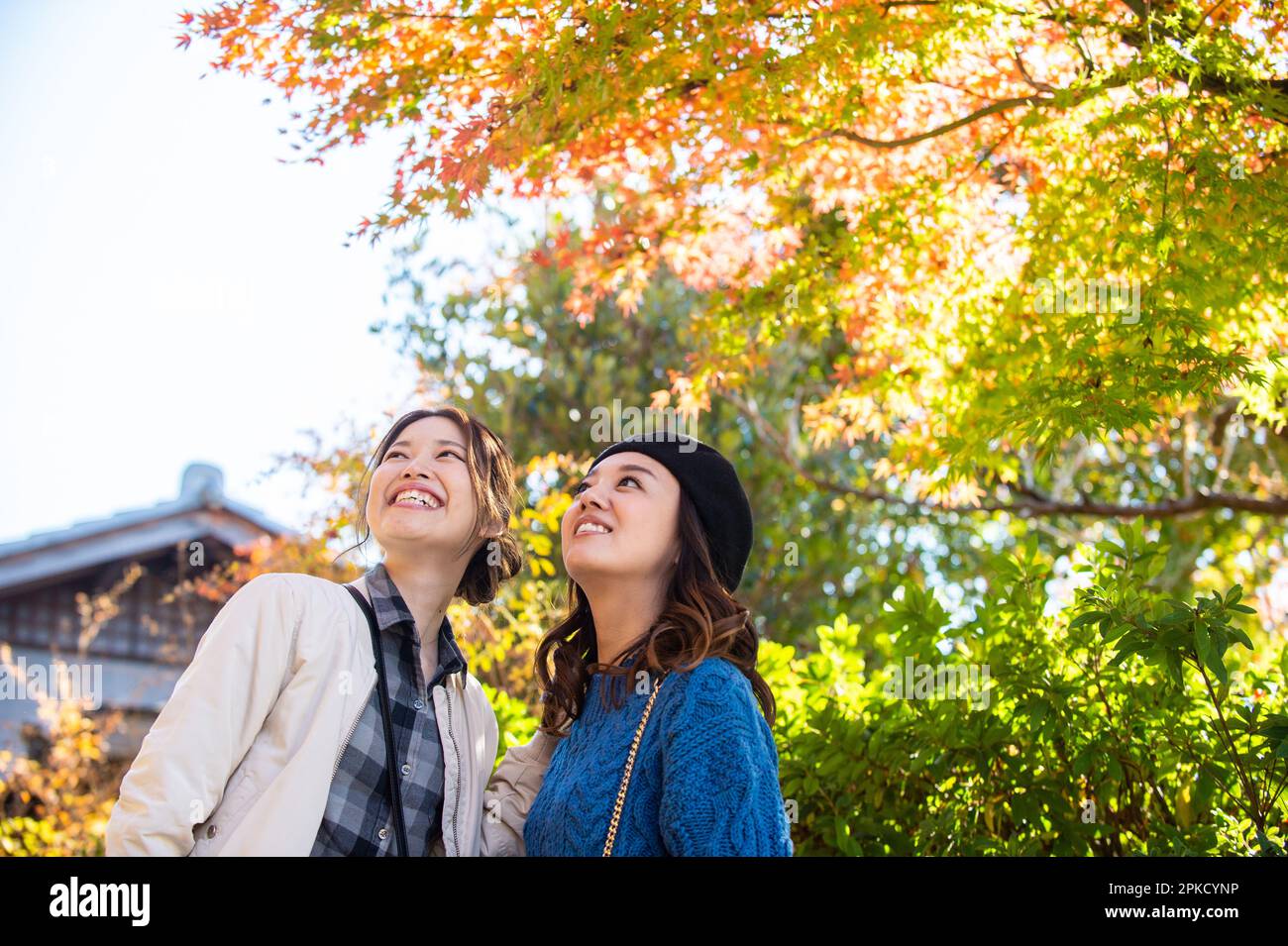 Two women strolling in a sightseeing spot looking at autumn leaves ...