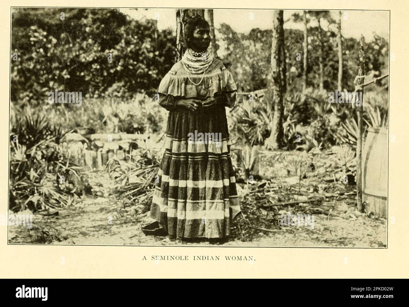 A Seminole Indian Woman vintage photograph from the book ' Florida, the ...