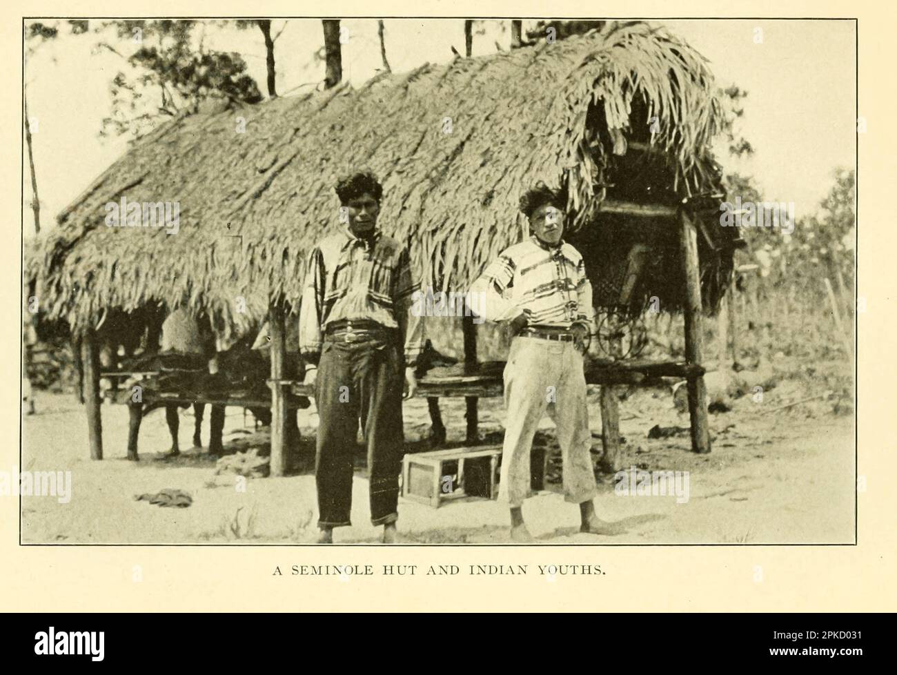 A Seminole Hut and Indian Youths vintage photograph from the book ...