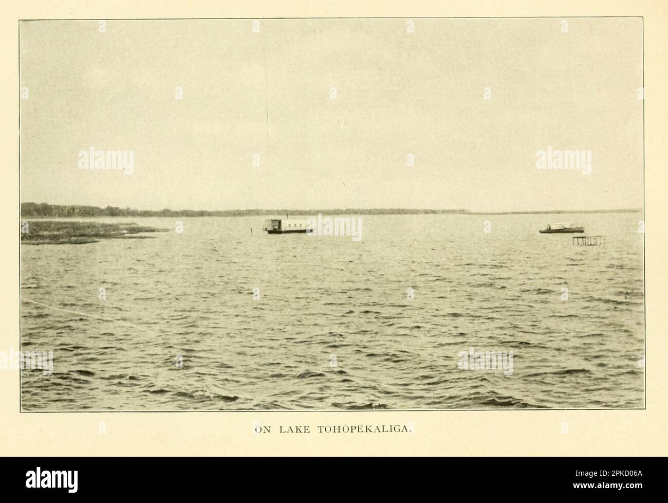 On Lake Tohopekaliga vintage photograph from the book ' Florida, the ...