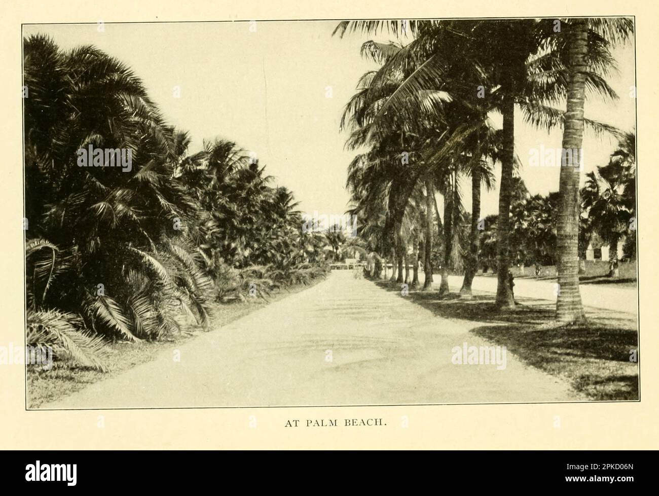 Vintage old historic florida hi-res stock photography and images - Alamy