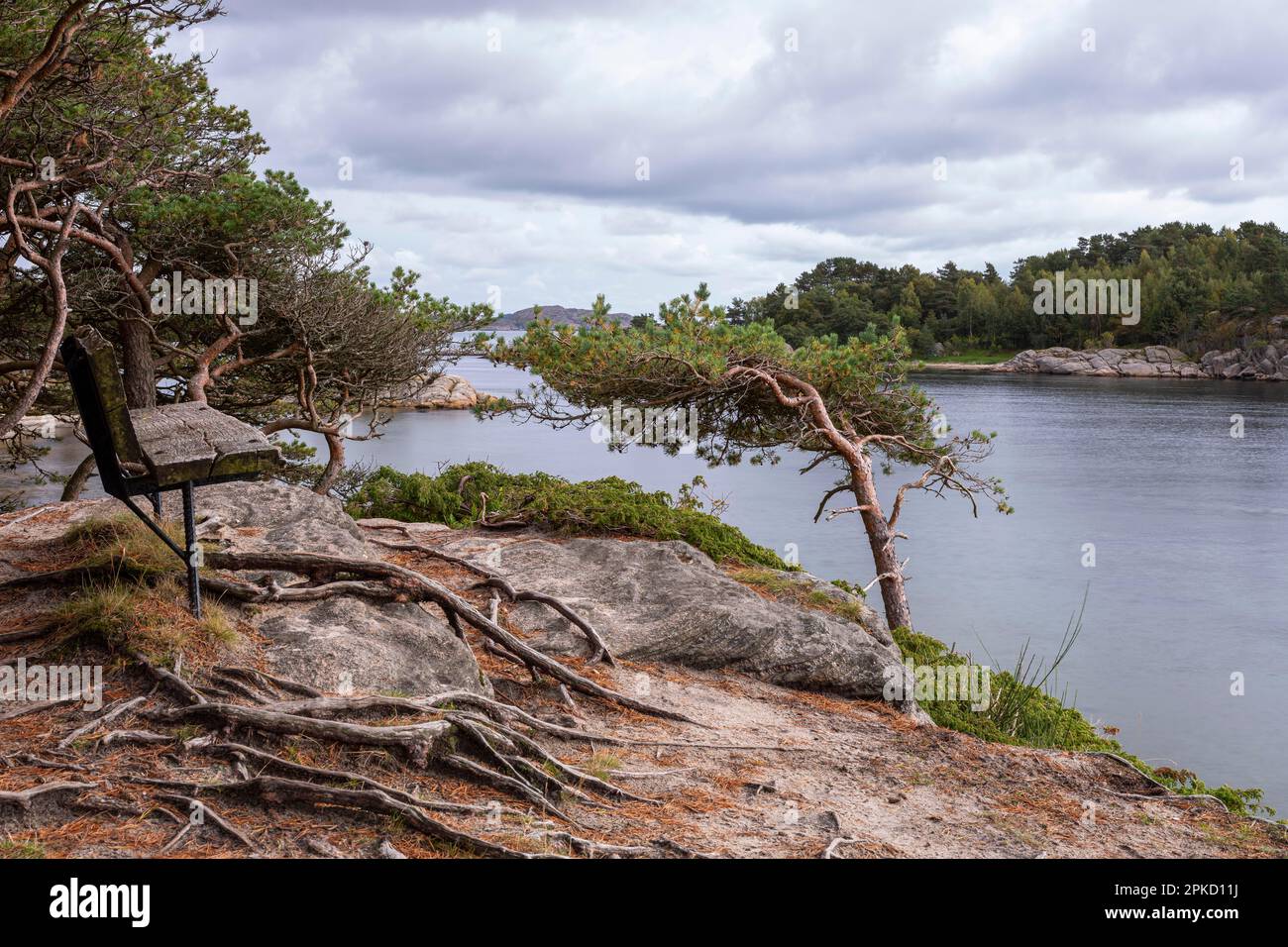Trees and bench at Kanelstranda, Aspholmsundet, Mandal, Norway Stock ...