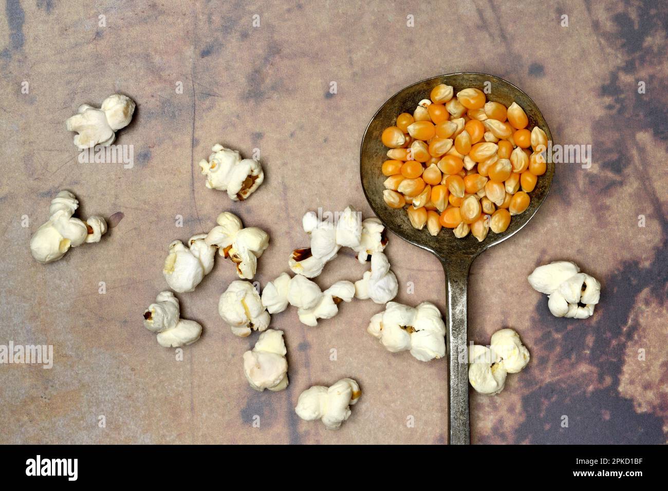 Corn (Zea mays) kernels in ladle and popcorn, puffed corn Stock Photo ...