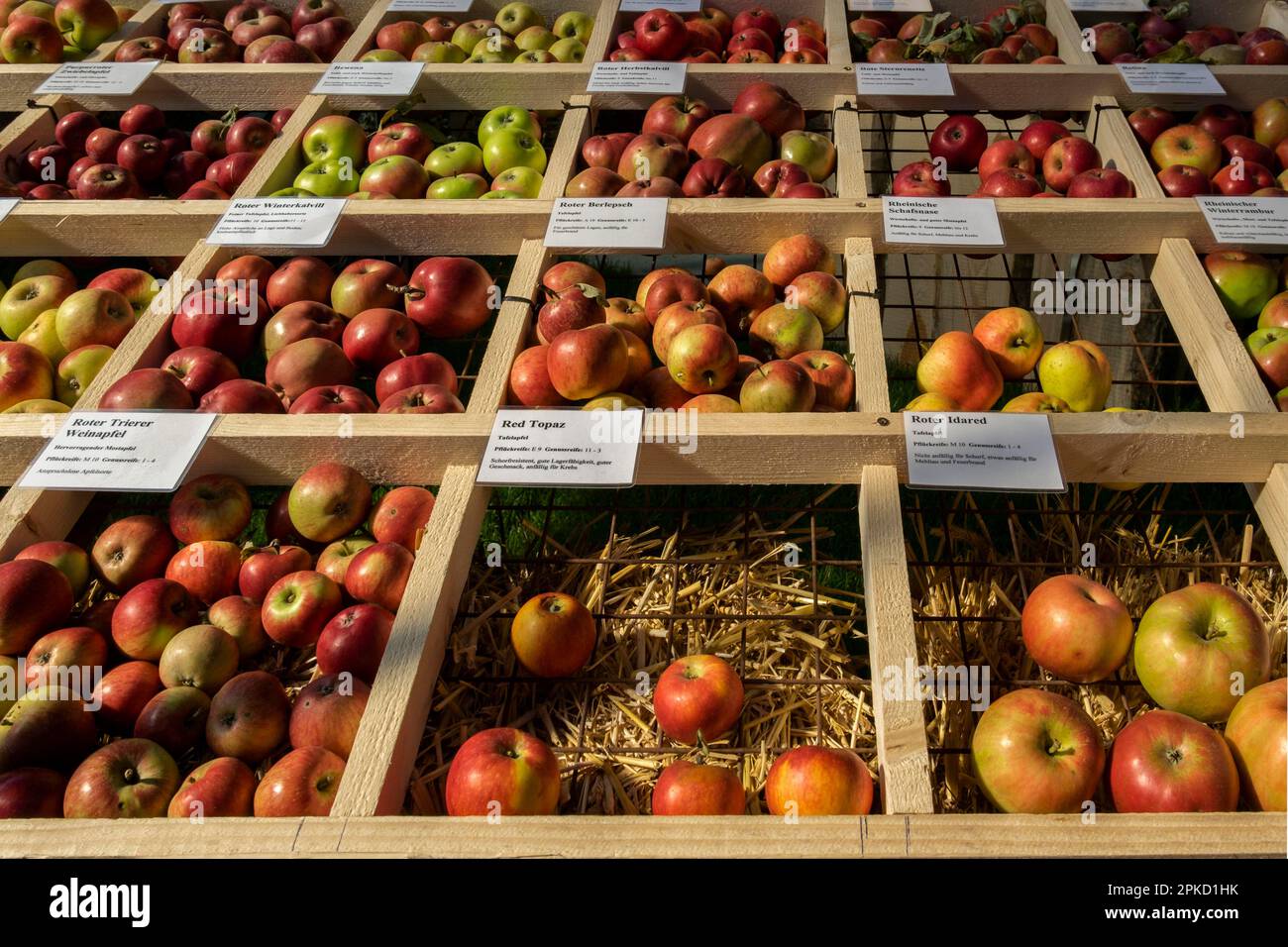 Apple varieties hi-res stock photography and images - Alamy