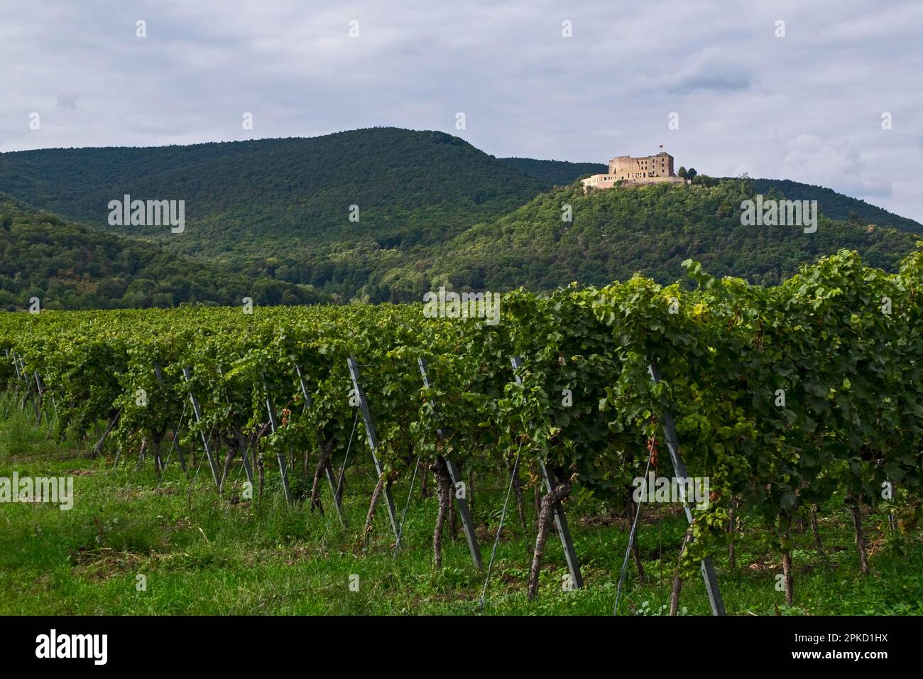 Hambacher castle hi-res stock photography and images - Alamy
