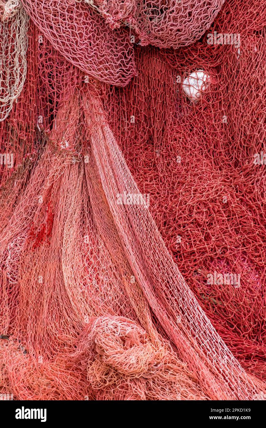 Fish trawl net underwater hi-res stock photography and images - Alamy