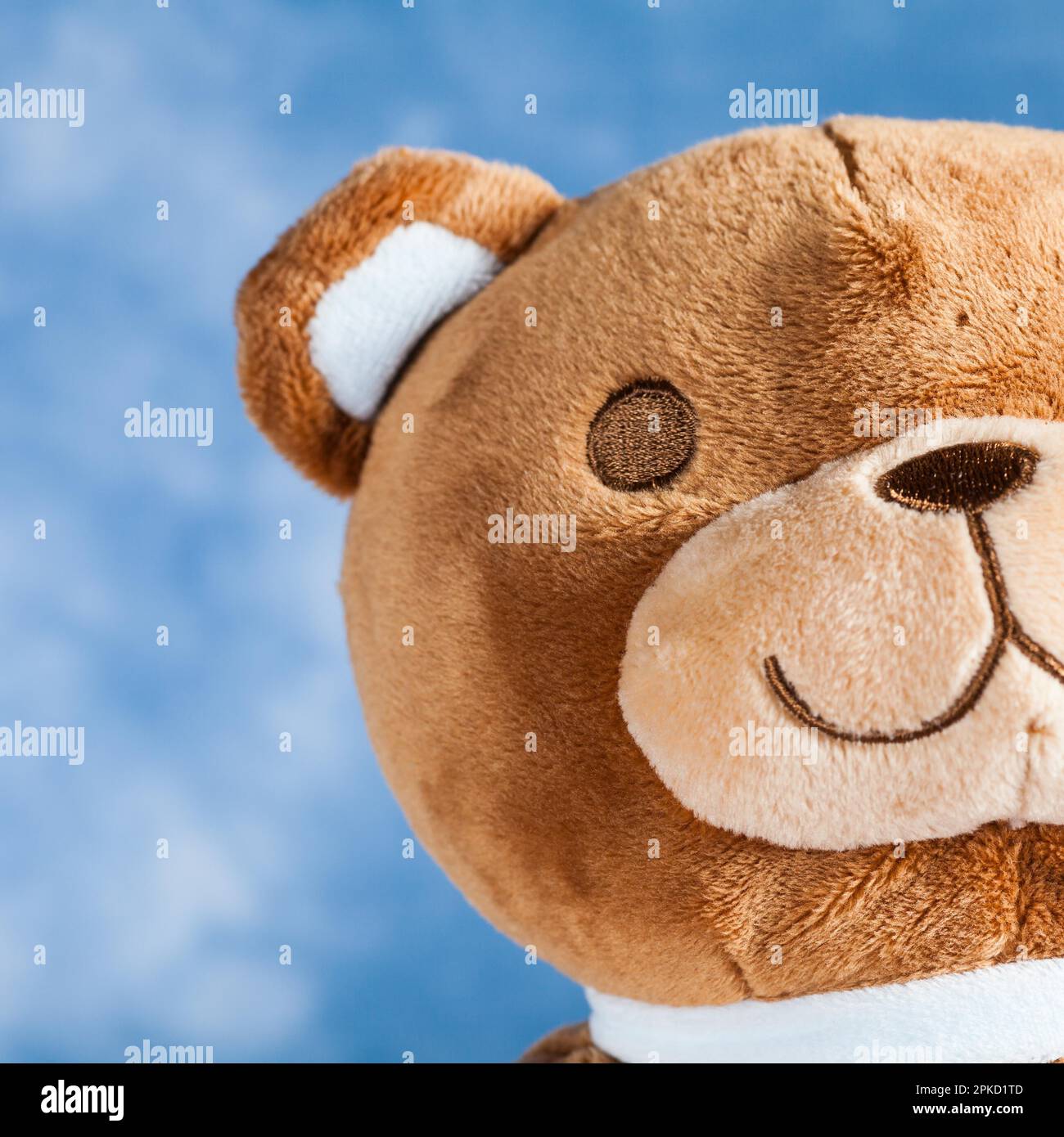 Blue Teddy Bear Images