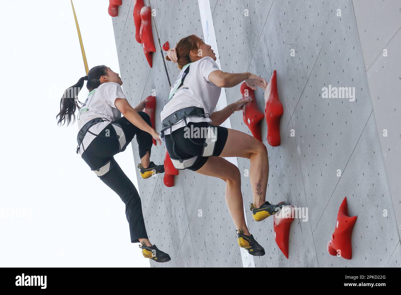 07th Apr, 2023. National sport climbing championships Sport climbers ...