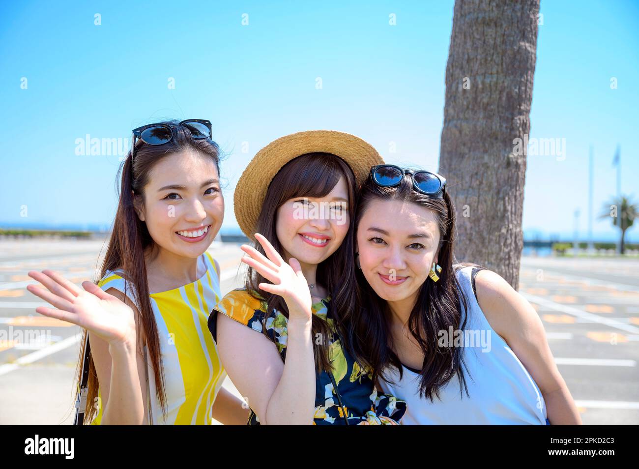 3 women traveling to the sea resort with palm trees Stock Photo - Alamy