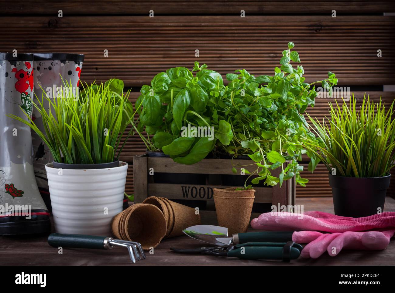 Different plants for planting with garden tools Stock Photo - Alamy
