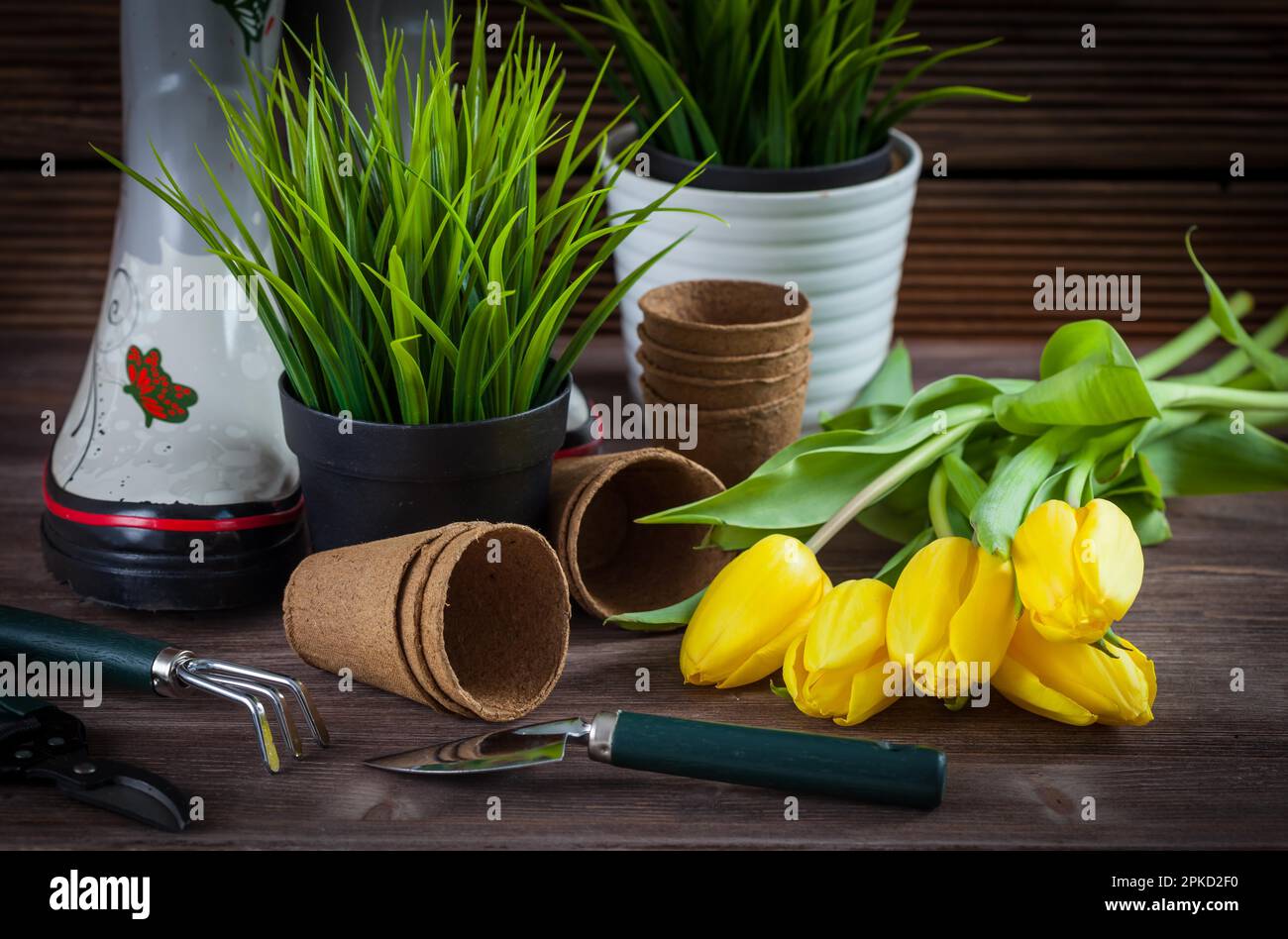 Different plants for planting with garden tools Stock Photo - Alamy