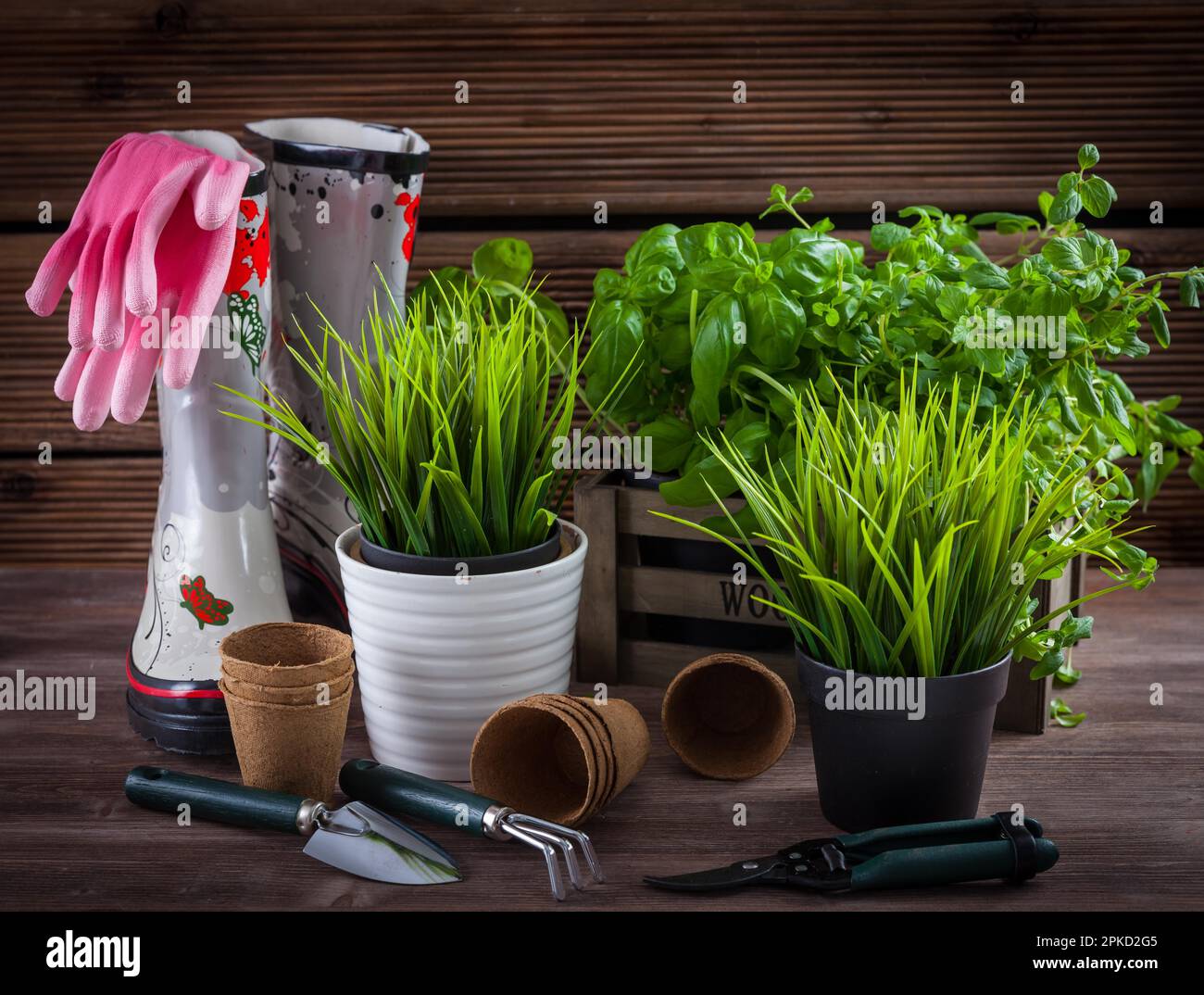 Different plants for planting with garden tools Stock Photo - Alamy