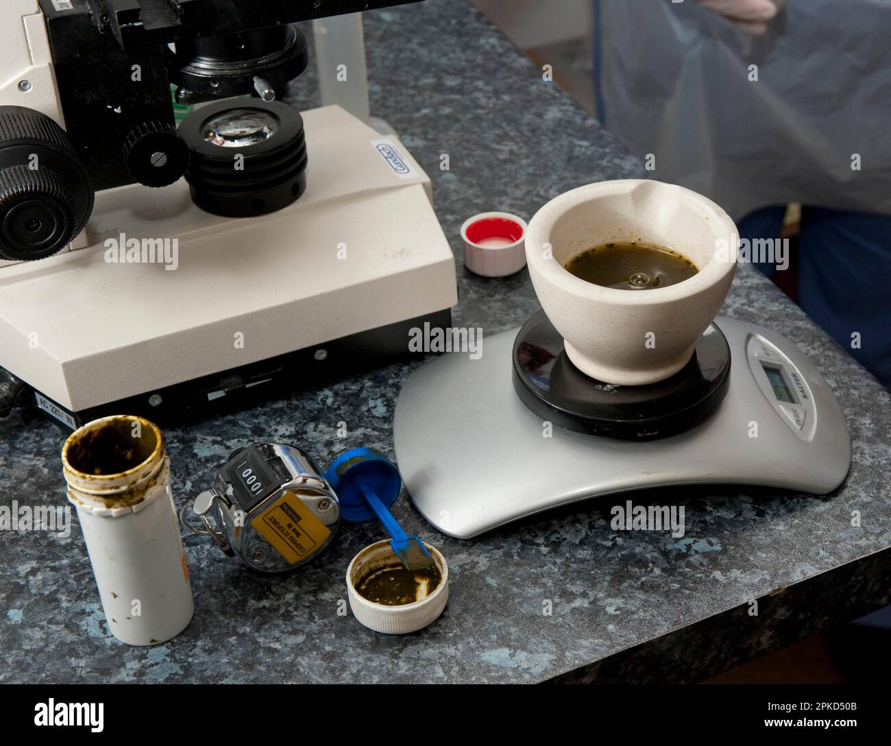 Carrying out a faecal egg count in sheep faeces to check for parasite ...