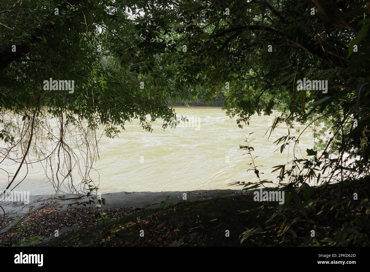 The Kalu Ganga river landscape, the river flowing water view through ...