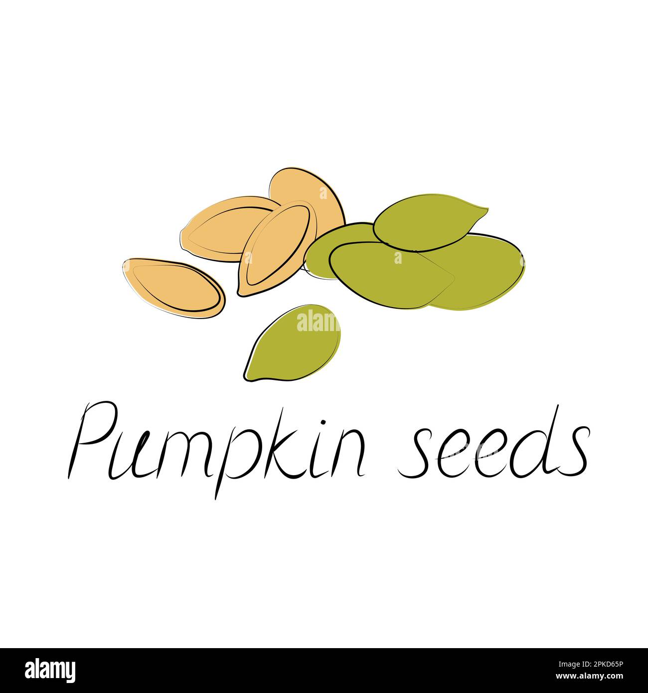 Pumpkin seeds vector. Vegetarian food or snack illustration Stock ...
