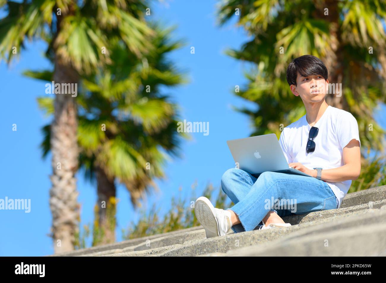 Person tree working hi-res stock photography and images - Alamy