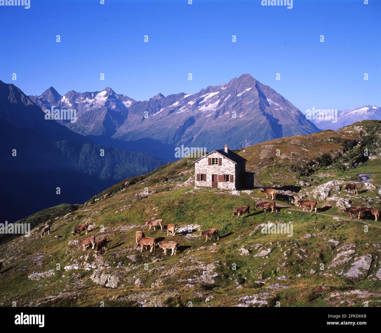 AUT, Austria: The versatility of the Alpine mountains inspires not only ...