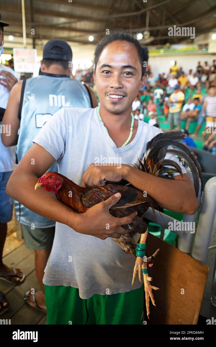 Filipino man with a fighting cock, cockfighting arena, Barangay Manoc ...