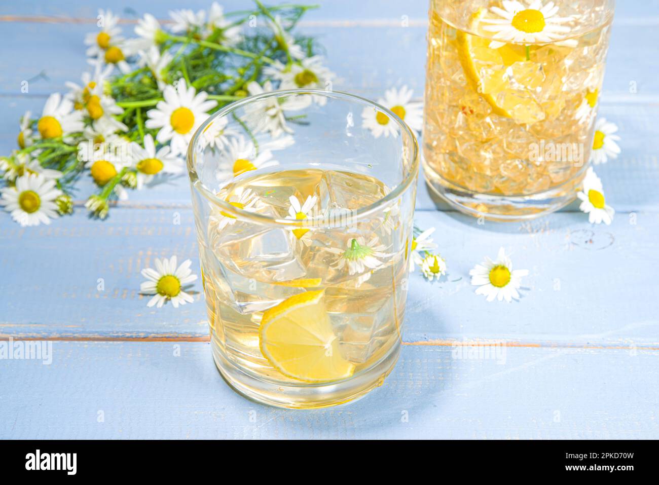 Herbal organic cold drink. Infused flower water. Iced daisy Chamomile ...