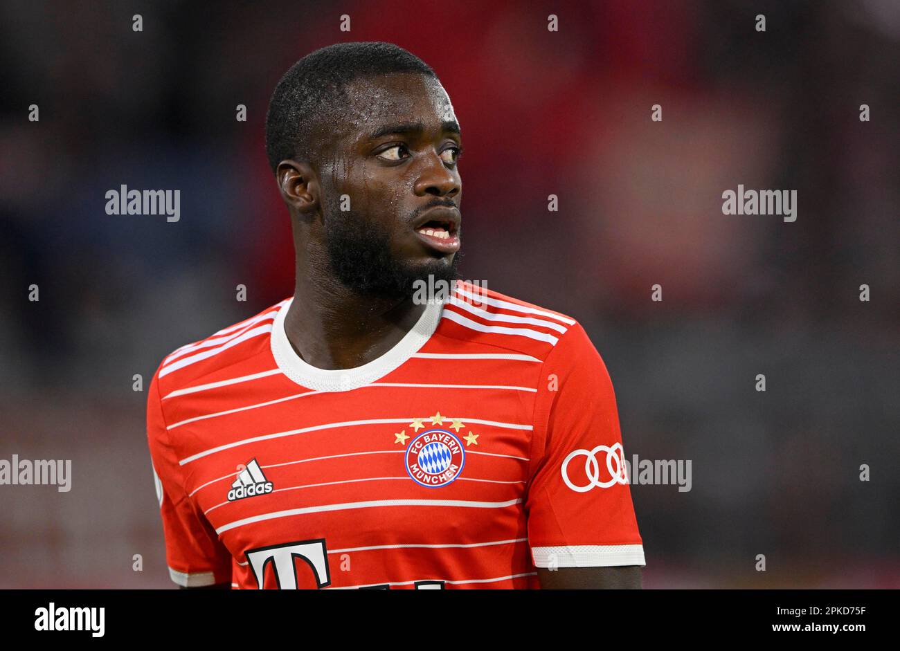 Dayot Upamecano FC Bayern Muenchen FCB (02), portrait, DFB Cup, Allianz ...