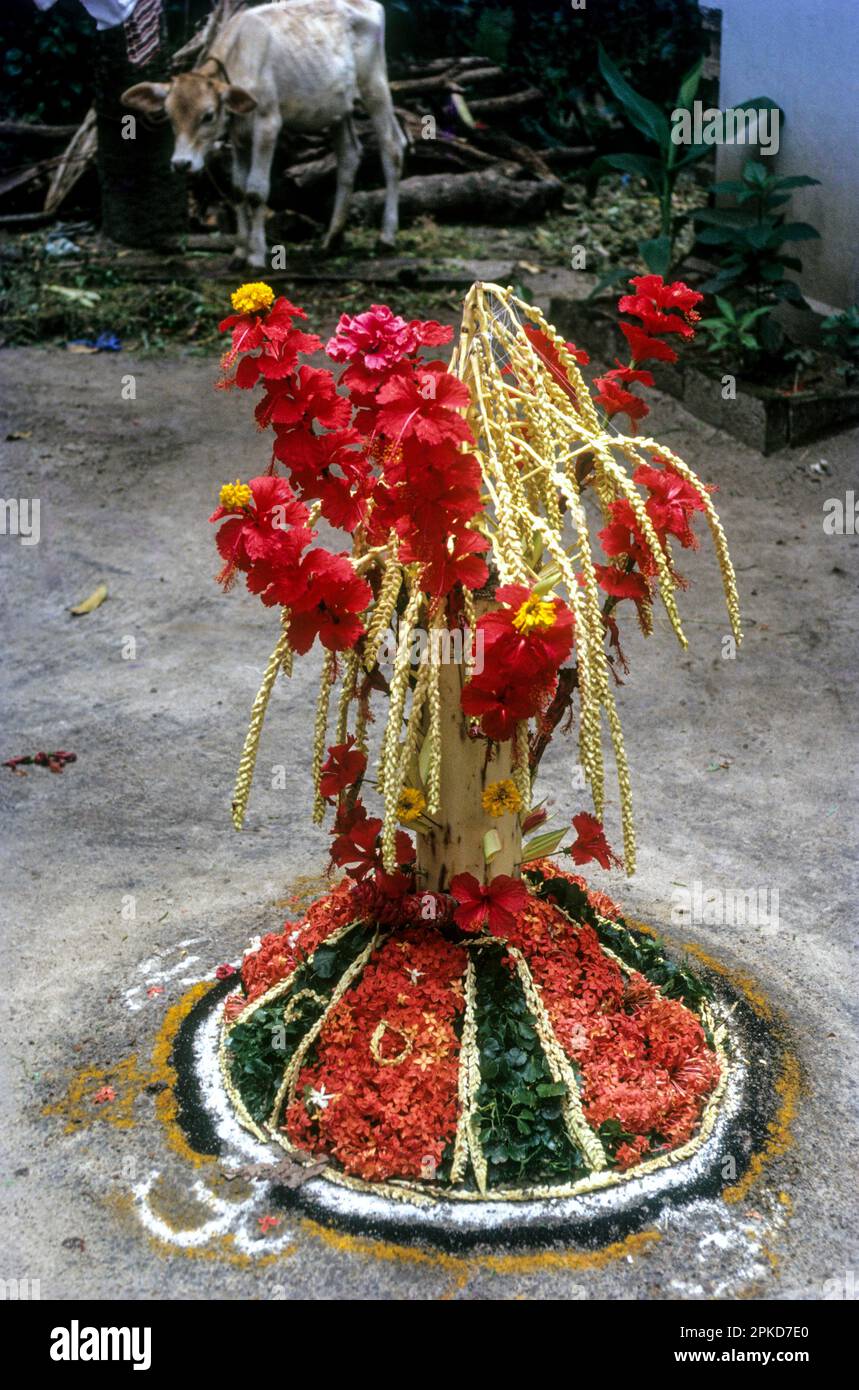 Floral decoration during Onam festival, Kerala, South India, India ...