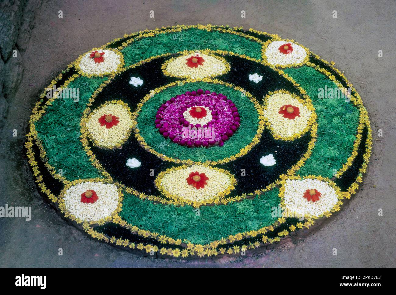 Flower decoration during onam hi-res stock photography and images - Alamy