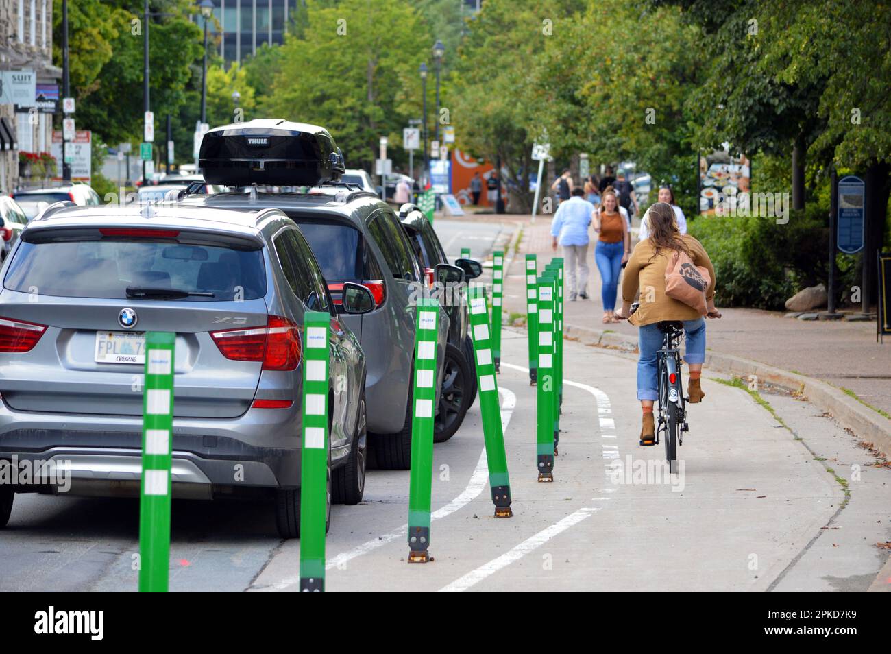 Woman cycling in the Lower Water Street bike lane next to parked cars ...