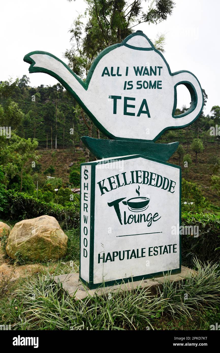 Sri lanka tea plantation road hi-res stock photography and images - Alamy