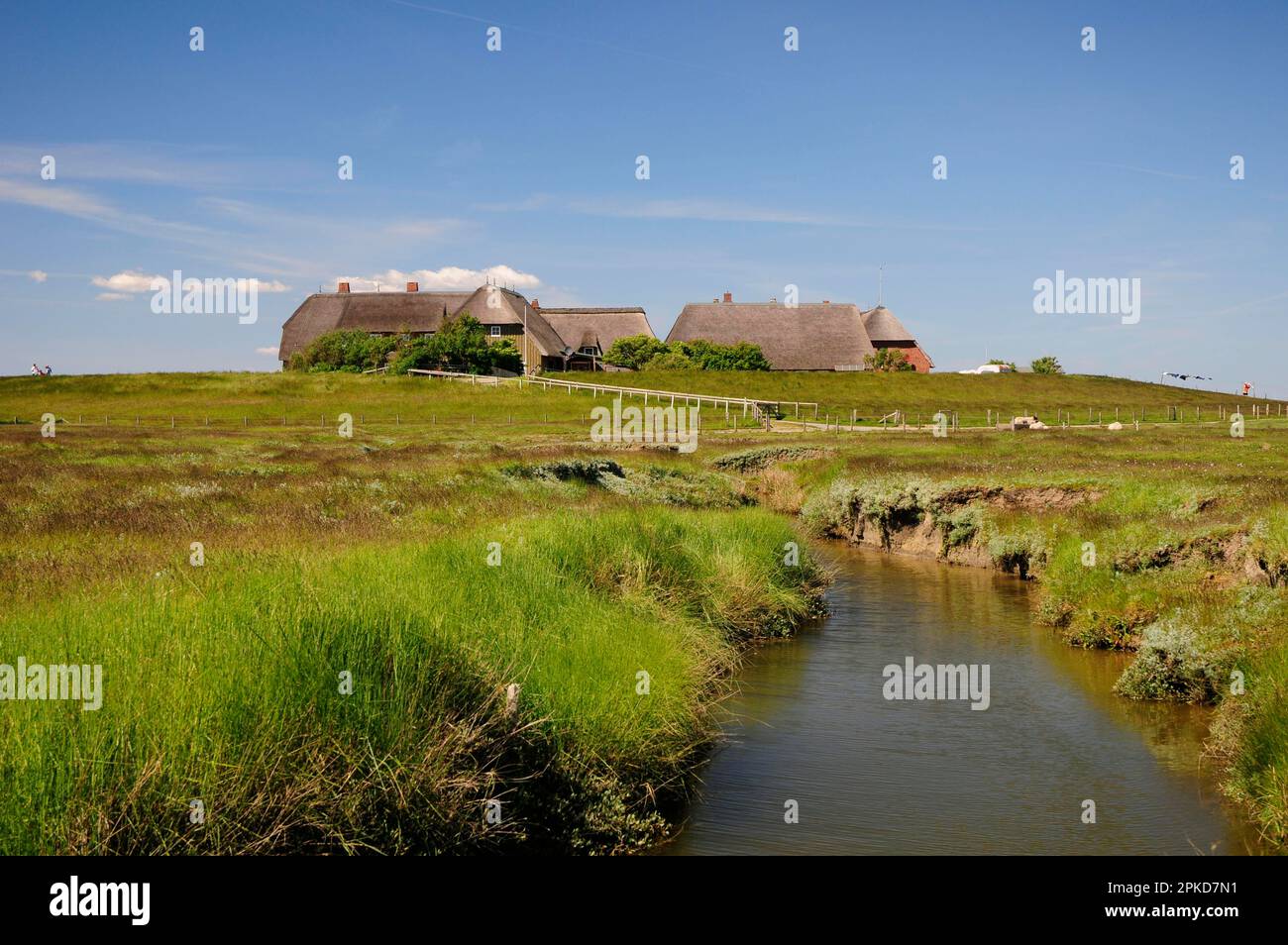 North Sea, Hallig Hooge, Warft, Hallig, Wadden Sea, North Friesland ...
