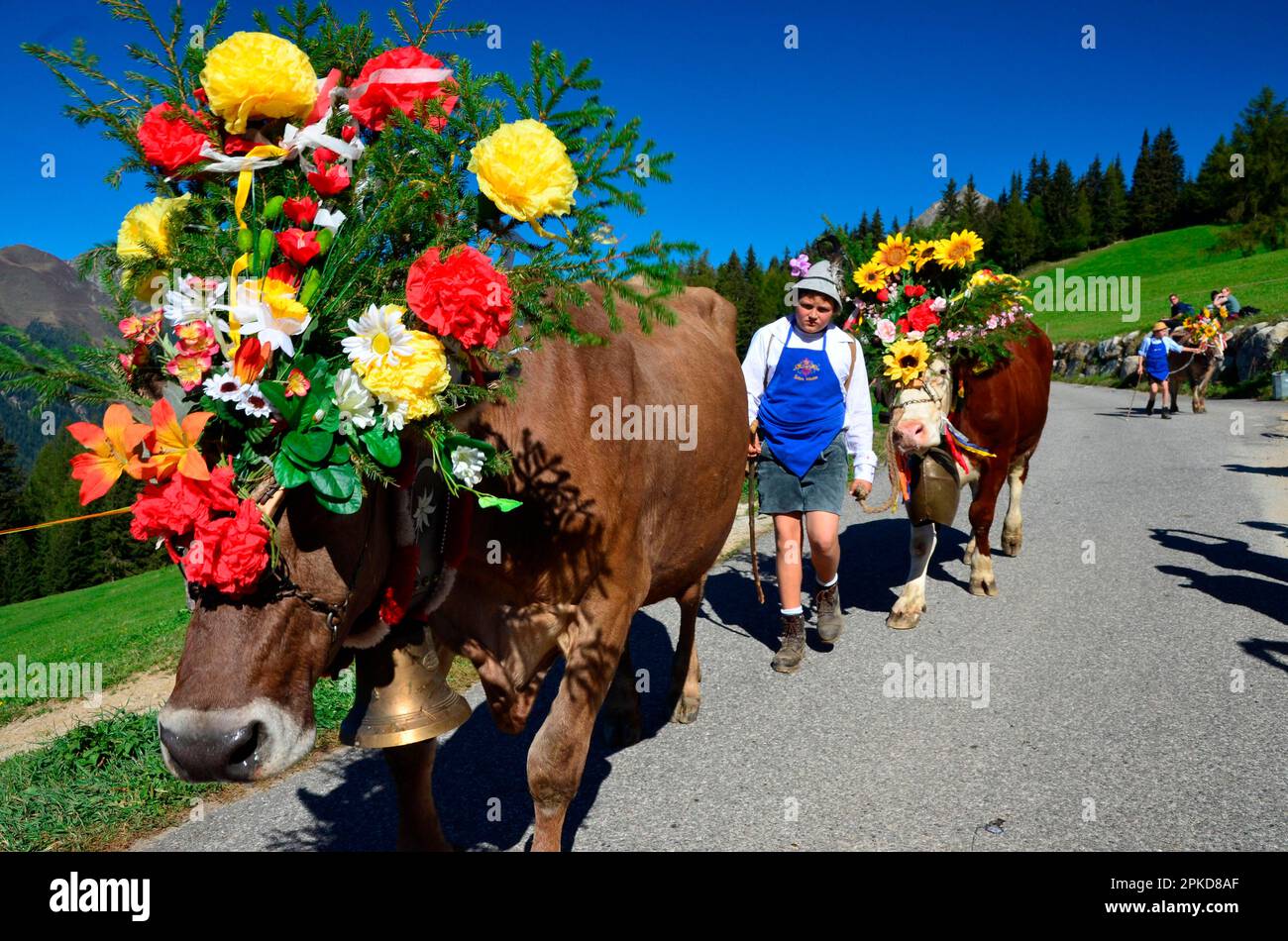 Summer, alpine world, mountain world, customs, Almabtrieb, cow ...