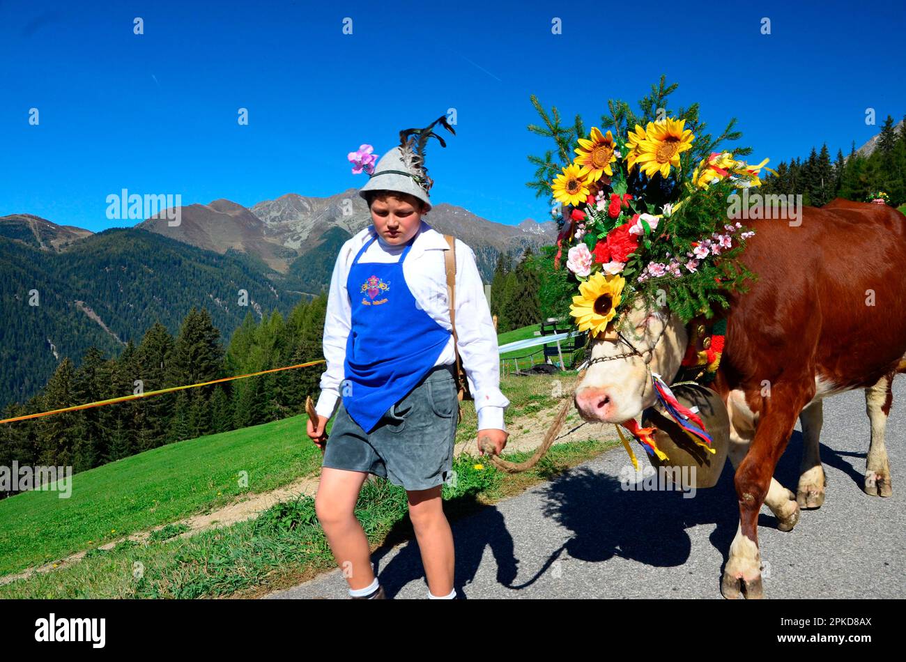 Summer, alpine world, mountain world, customs, Almabtrieb, cow ...