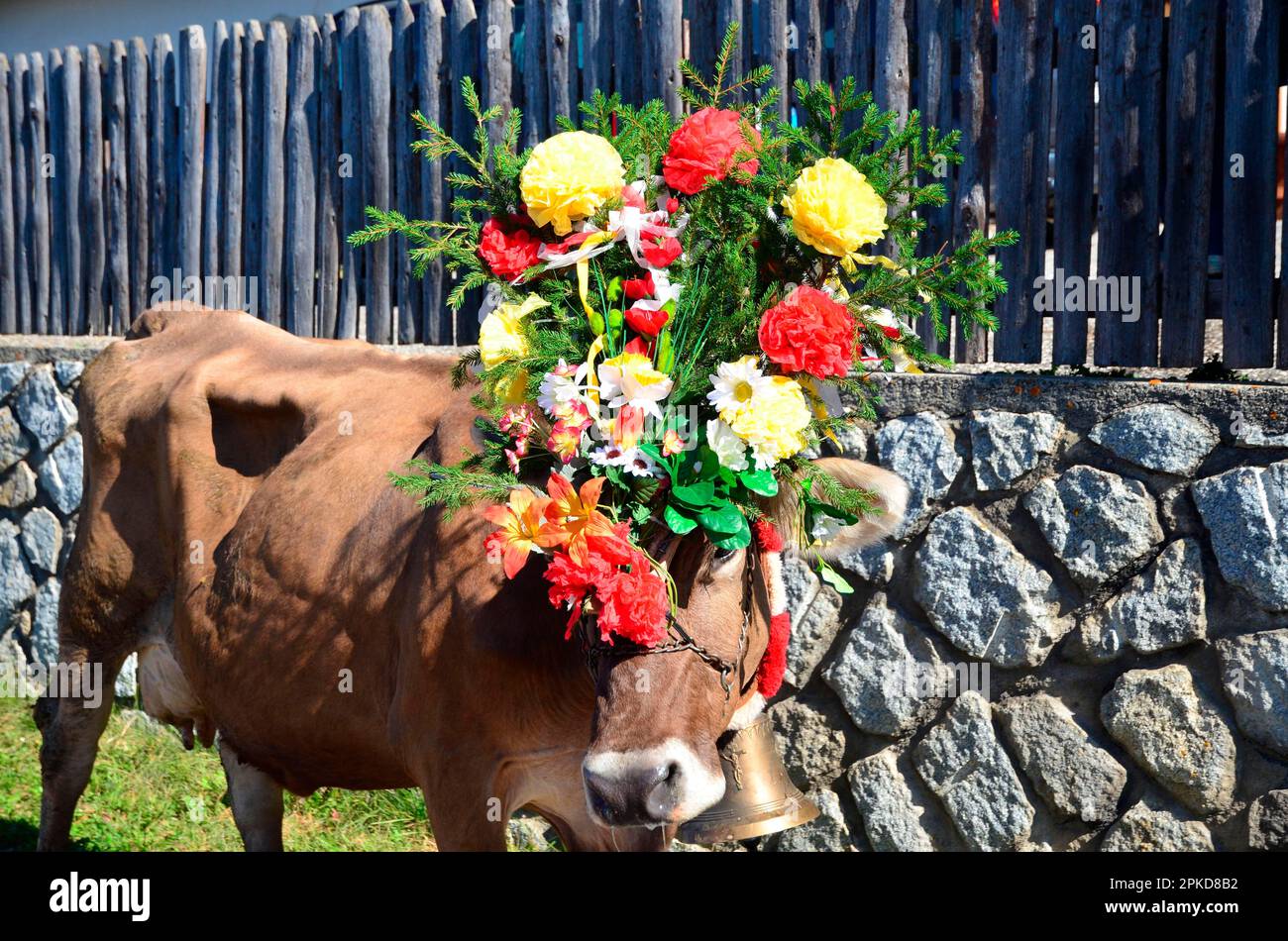 Summer, alpine world, mountain world, customs, Almabtrieb, cow ...