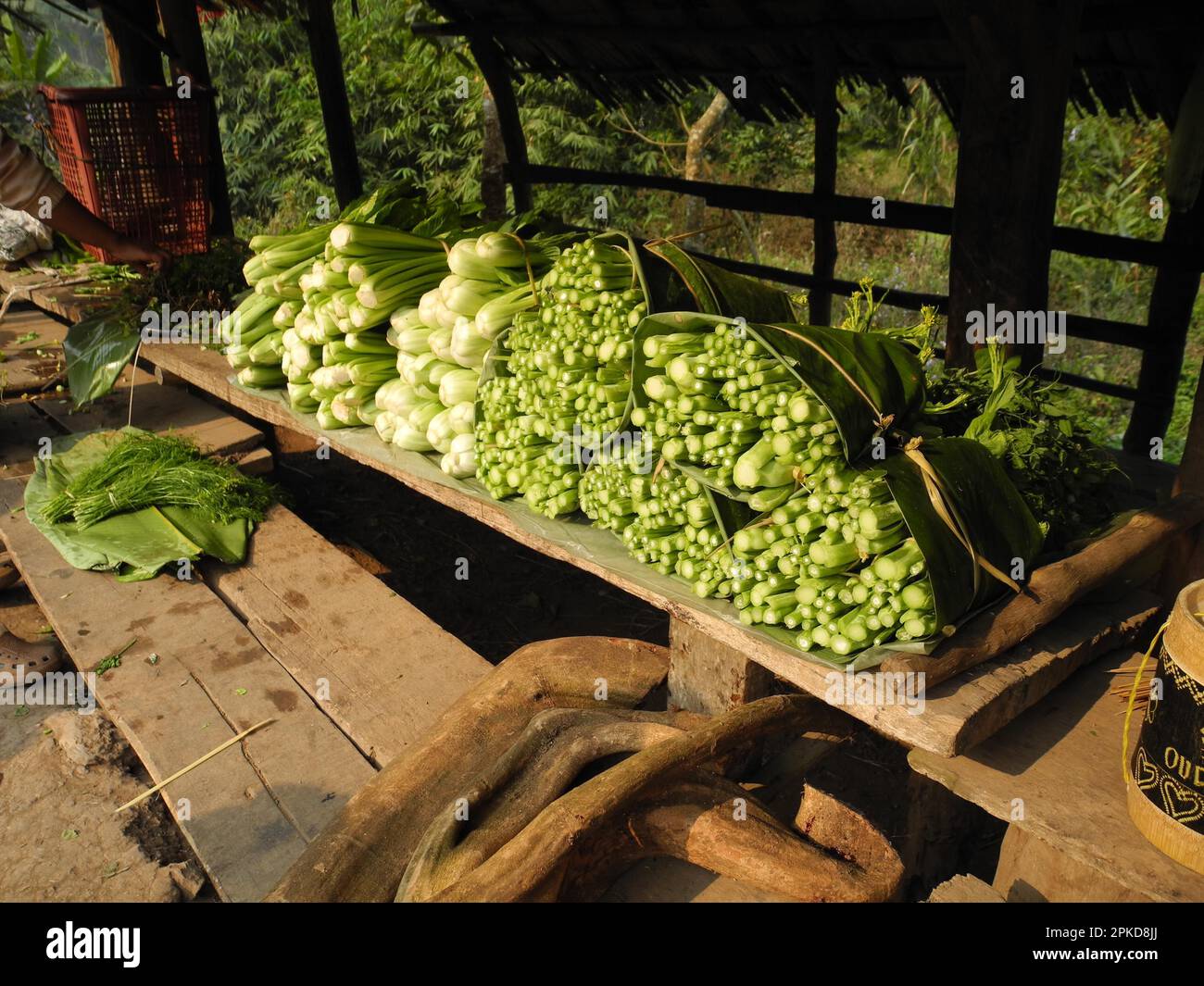 Vegetable stall, ccickoree, leek, northwestern Oudomxay province, Laos ...